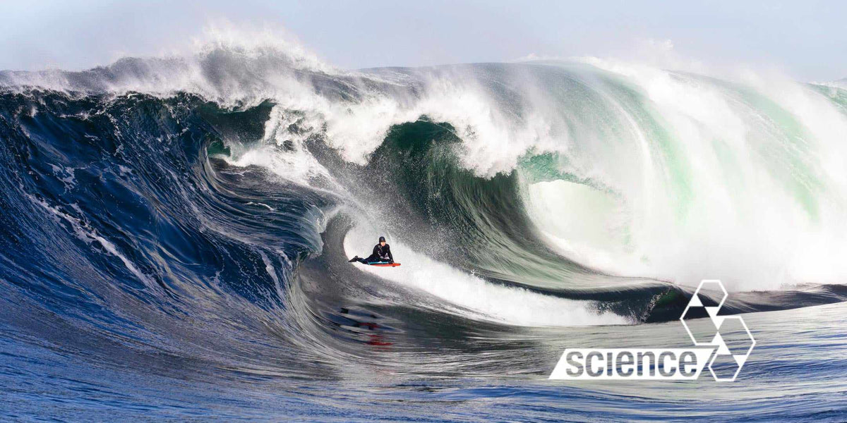 Science Bodyboards – troggs.com