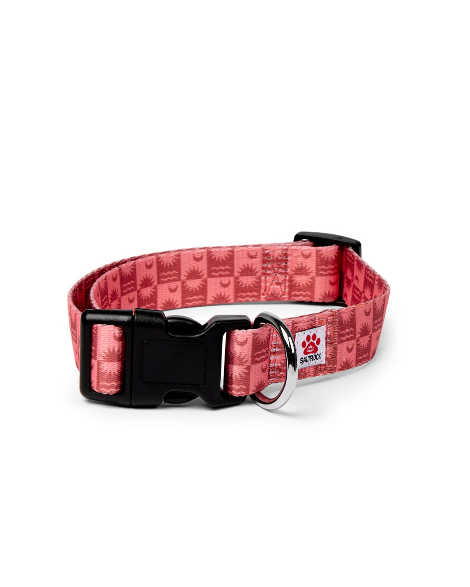 Saltrock Equinox Dog Collar – troggs.com